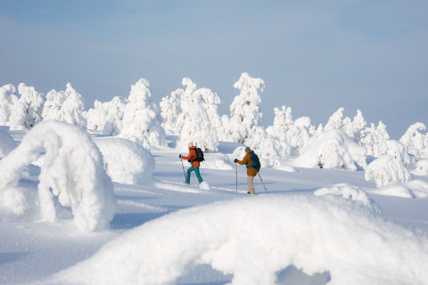 VisitPyhaLuosto-KotaCollectivePhoto-1113.jpg?itok=ARxQ_7Qg
