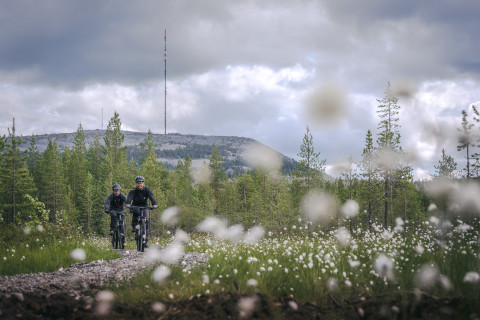 PyhaLuostoMTB.jpg?itok=gRi79OM2