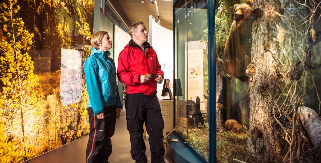 Luontokeskus_Naava_pyha